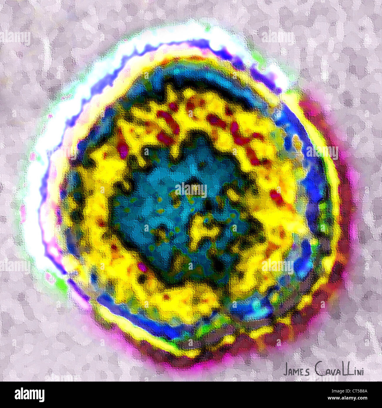 HERPES SIMPLEX VIRUS Stock Photo - Alamy