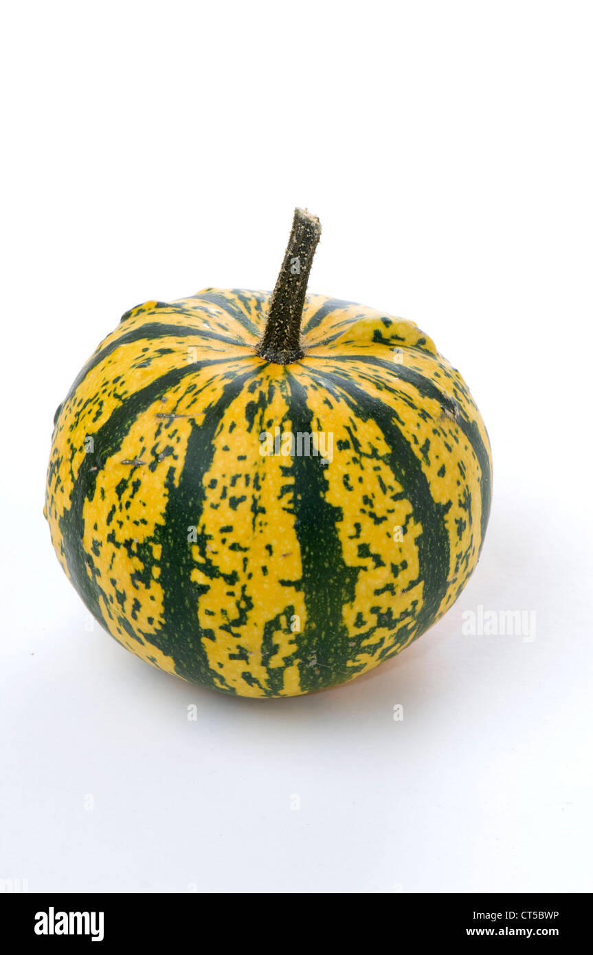 Marrow hi-res stock photography and images - Alamy