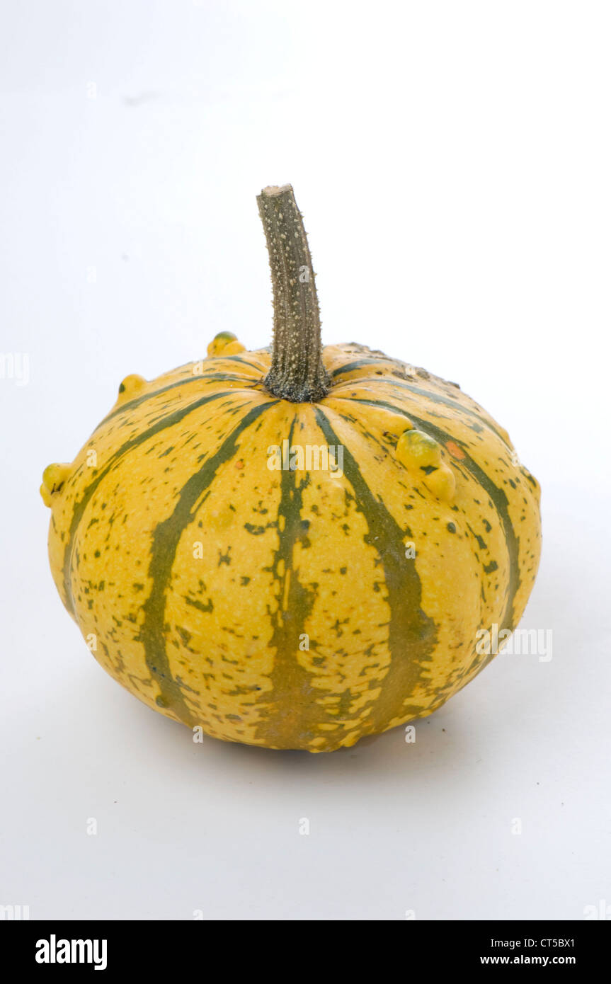 Marrow hi-res stock photography and images - Alamy