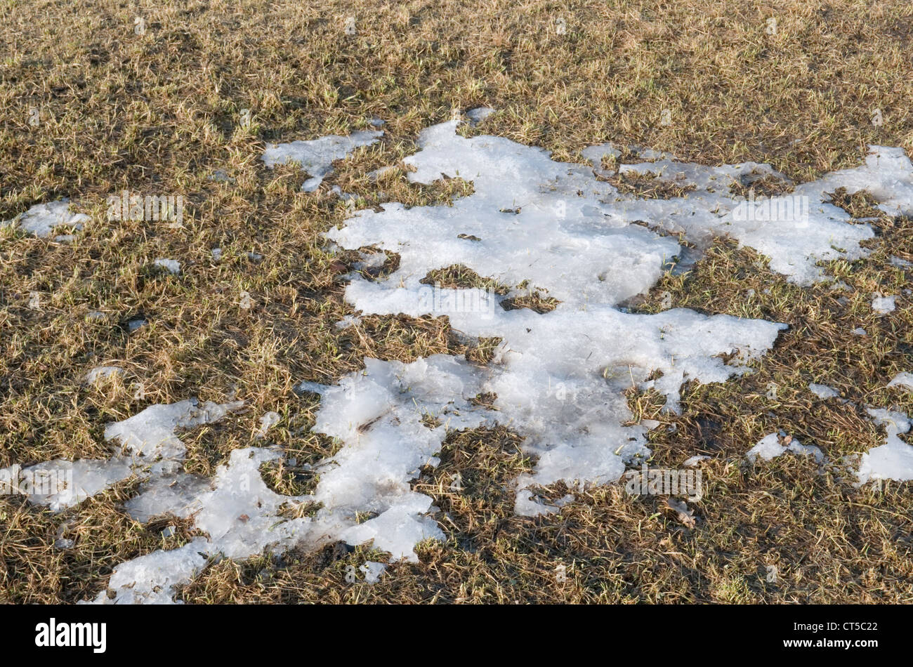 melting snow on ground Stock Photo - Alamy