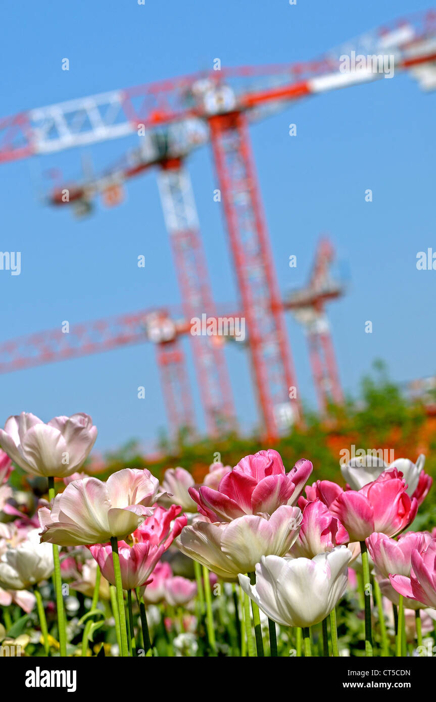 PUBLIC CONSTRUCTION WORK Stock Photo - Alamy