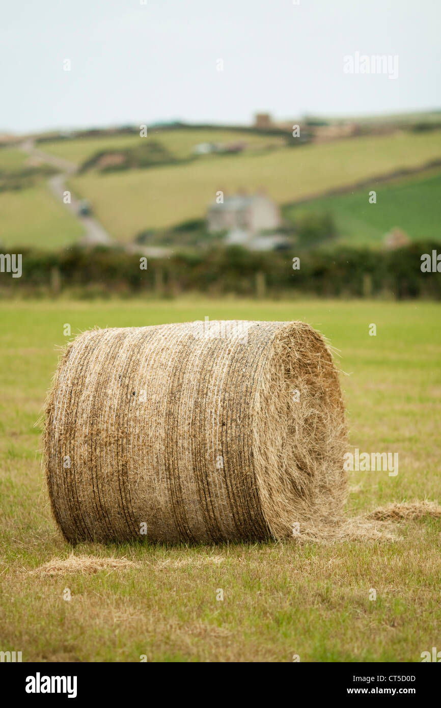 Hay bail hi-res stock photography and images - Alamy