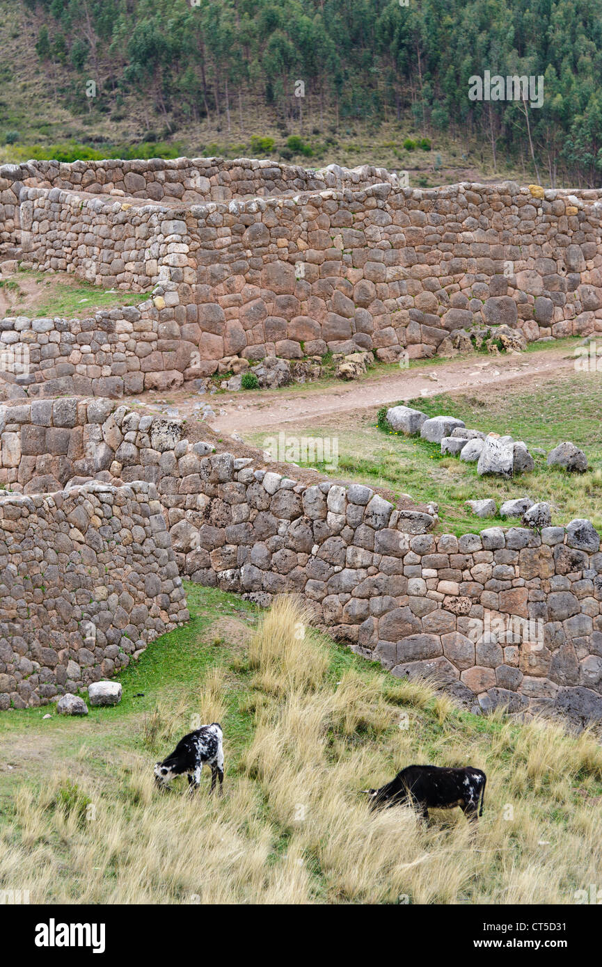 Fortifications built by the Inca at Pucapucara ruins, Cusco, Peru ...