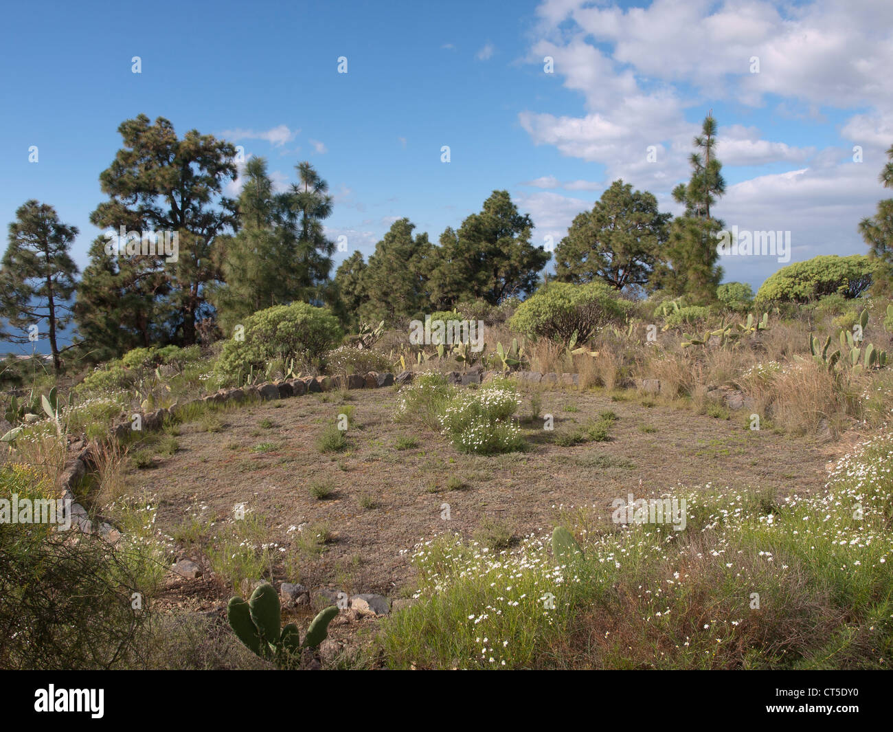 Threshing circle hi-res stock photography and images - Alamy