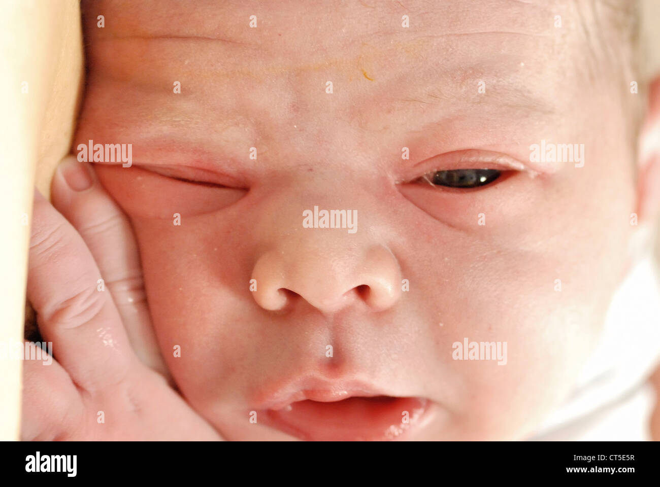 NEWBORN BABY FACE Stock Photo - Alamy