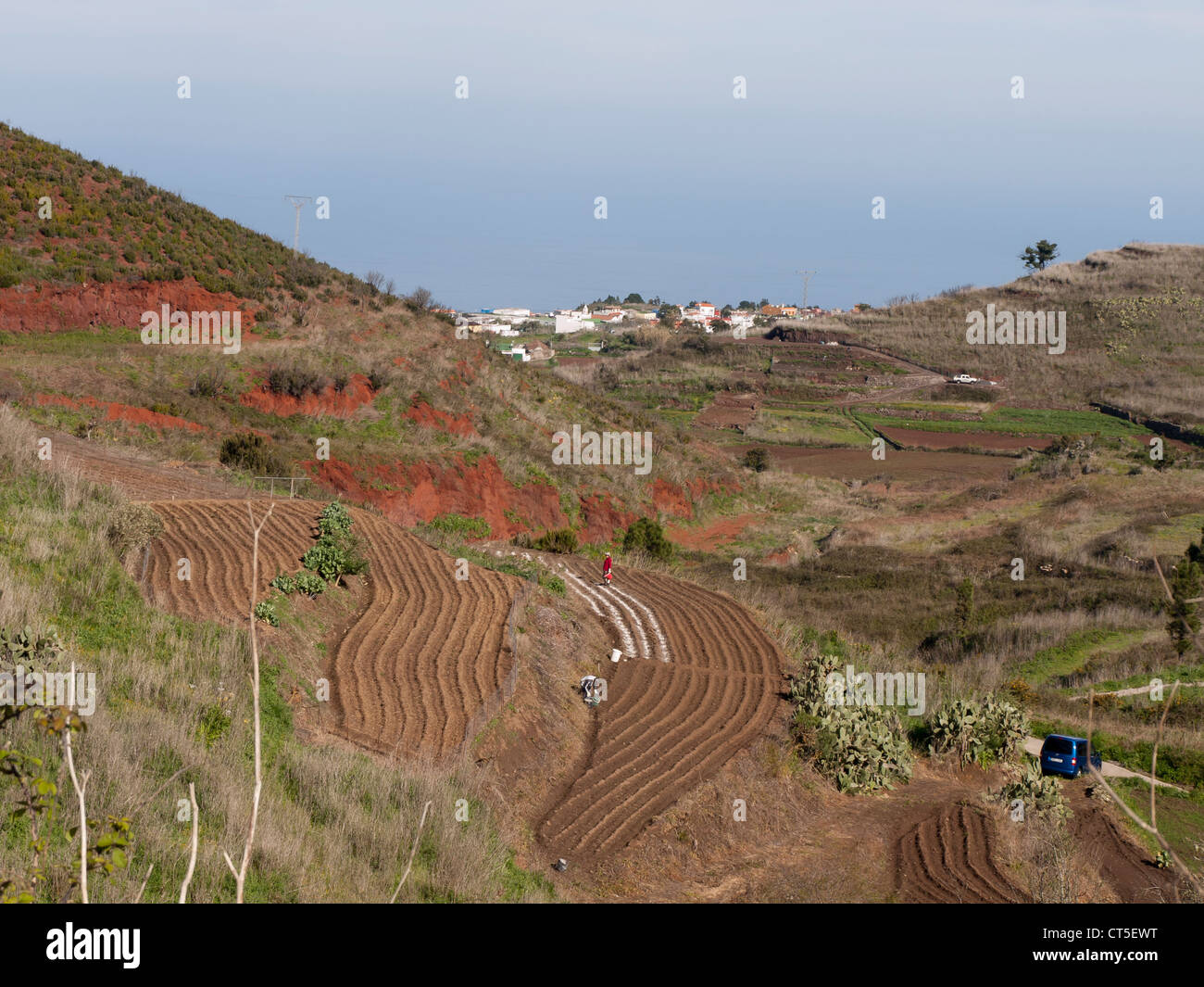 Farming in terraced fields near Erjos in Tenerife Spain Stock Photo - Alamy