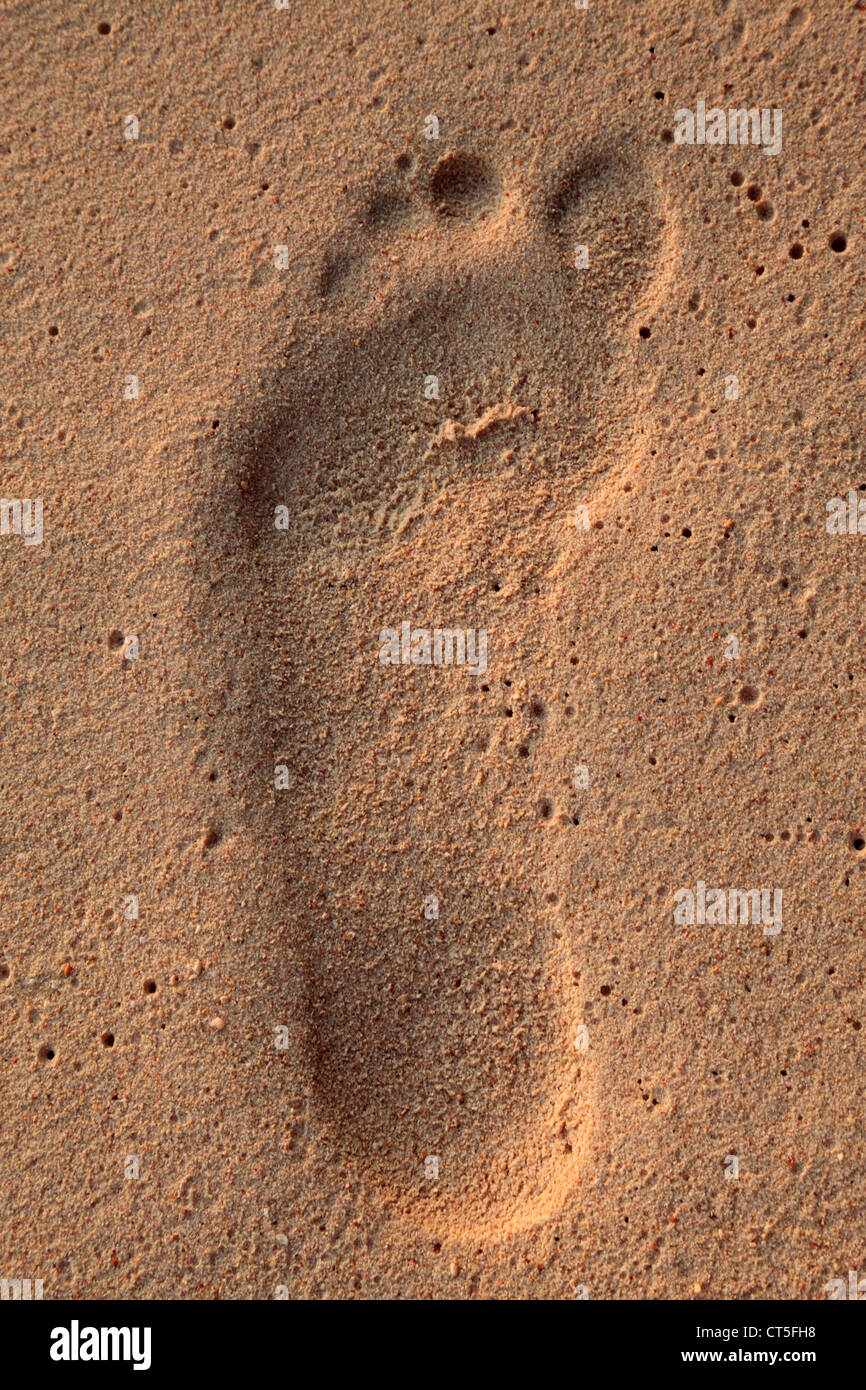 Single footprint in the sand Stock Photo - Alamy