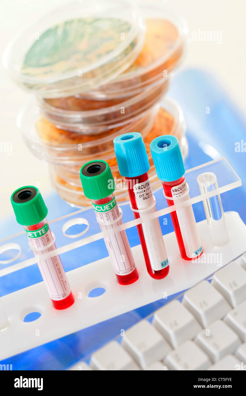 Bacteriological laboratory hi-res stock photography and images - Alamy