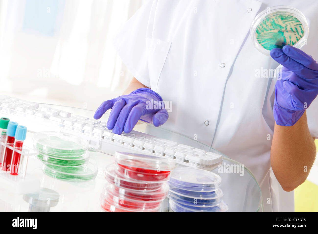 Bacteriology tube agar hi-res stock photography and images - Alamy