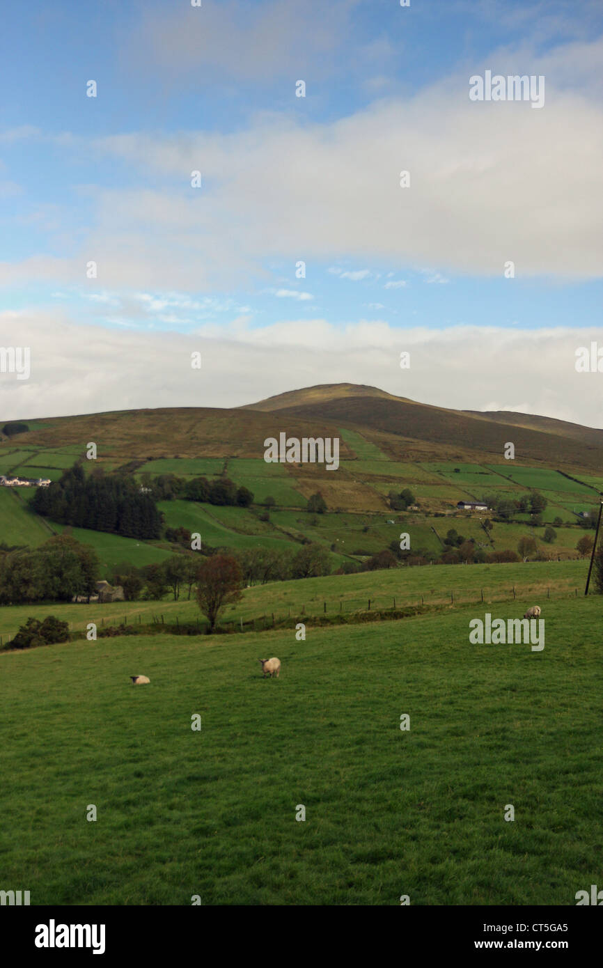 Sperrin mountains in County Tyrone, Northern Ireland Stock Photo - Alamy