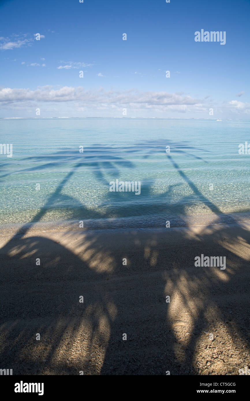 Shadows of palm trees on an azure blue sea in Bora Bora, French ...