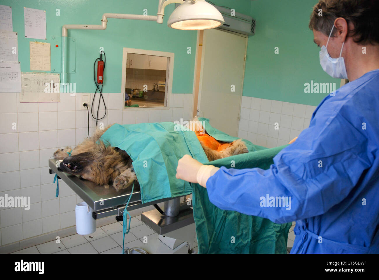 Laparotomy hi-res stock photography and images - Alamy