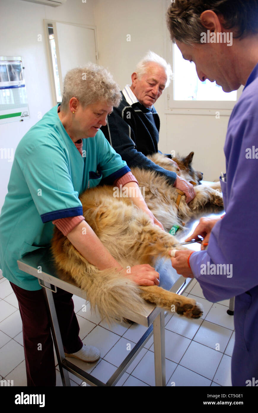 Ct5ge1 hi-res stock photography and images - Alamy