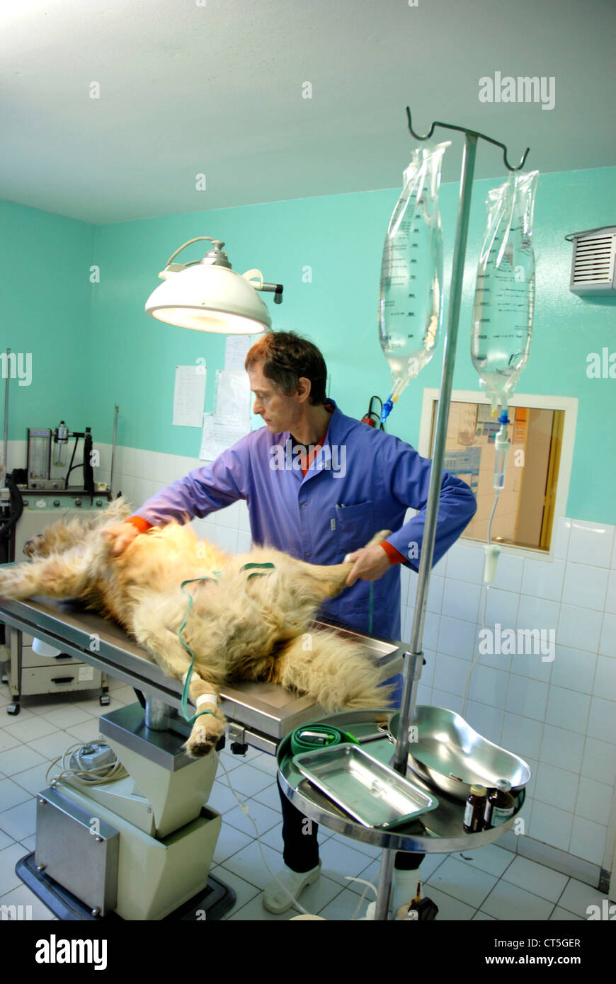 Laparotomy hi-res stock photography and images - Alamy