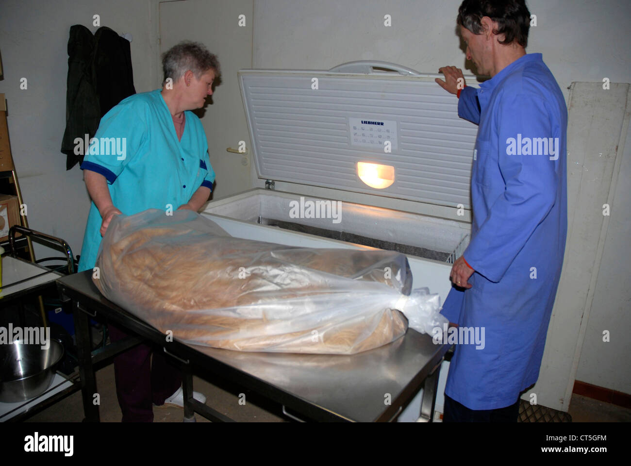 Animal euthanasia hi-res stock photography and images - Alamy