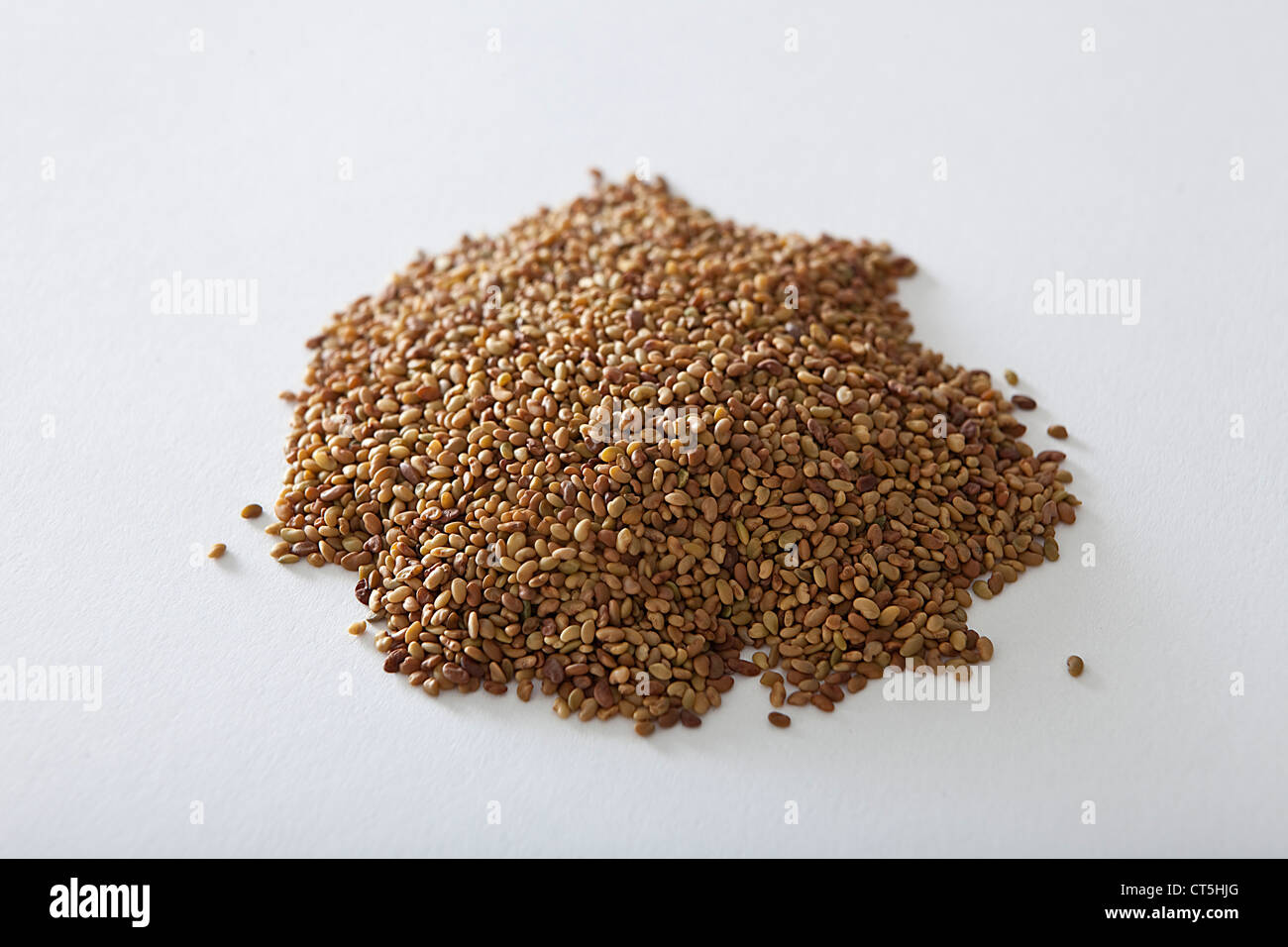 Lucerne plant hi-res stock photography and images - Alamy