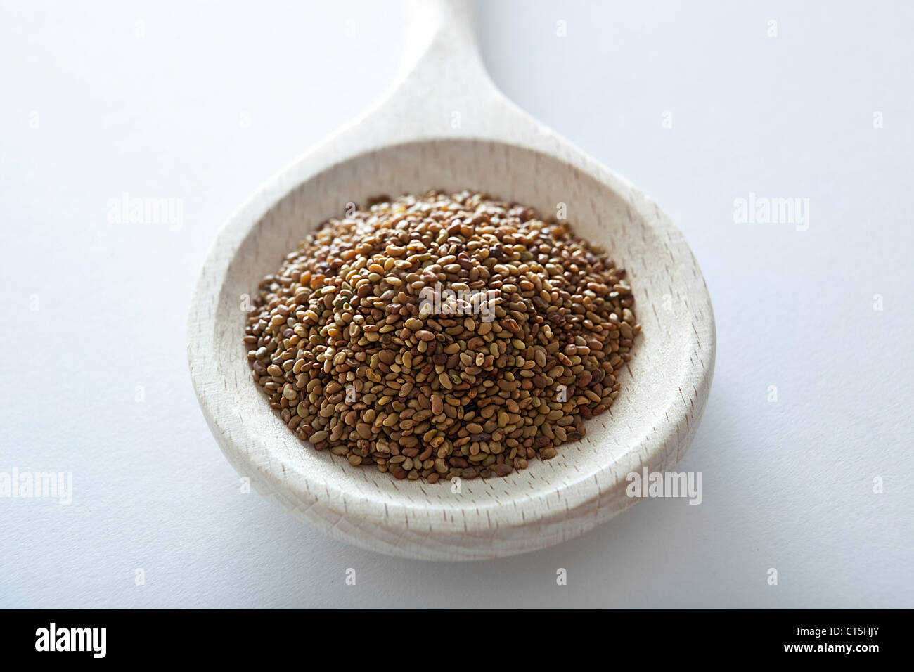 Lucerne seed hi-res stock photography and images - Alamy
