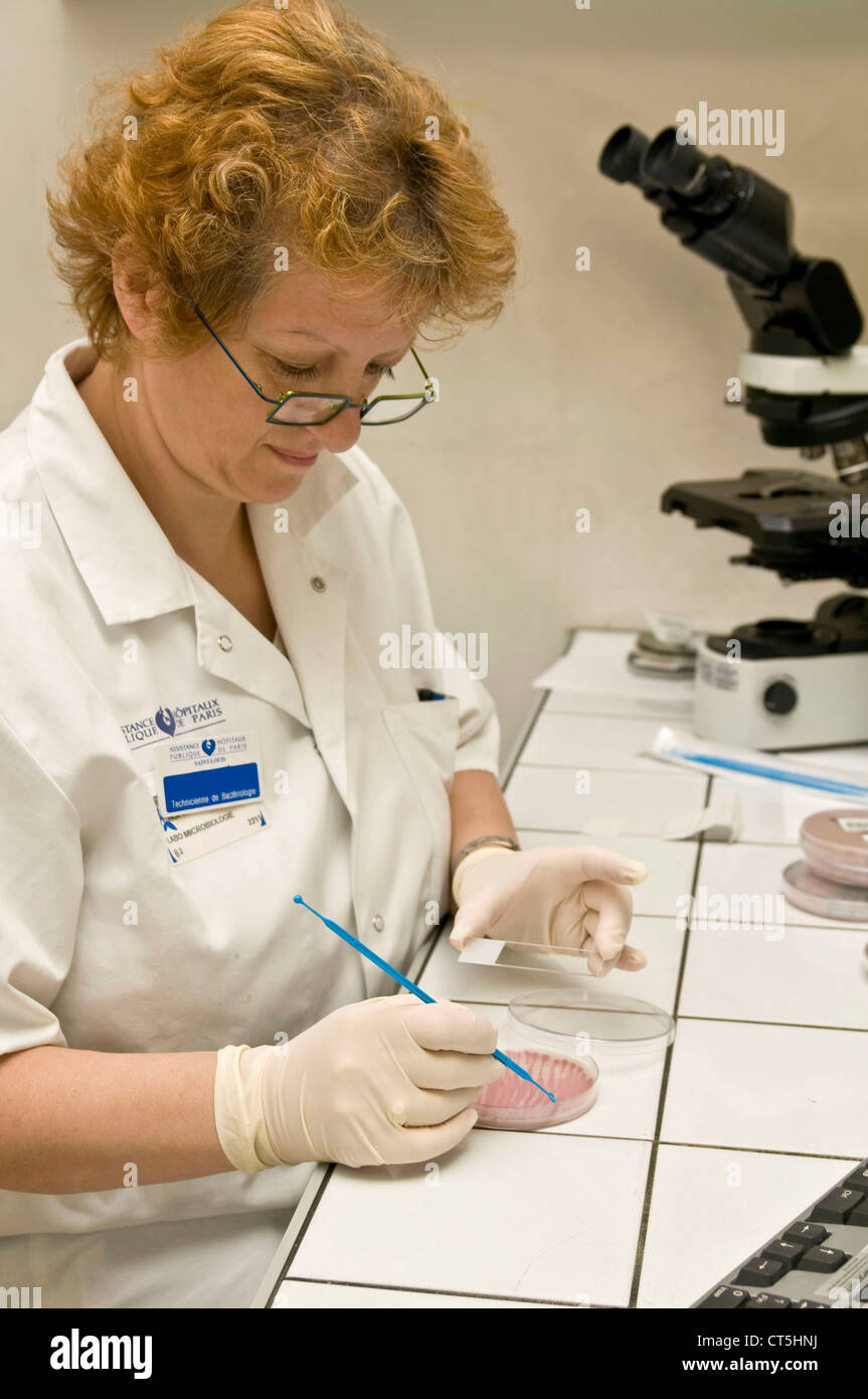 Bacteriology lab hi-res stock photography and images - Alamy