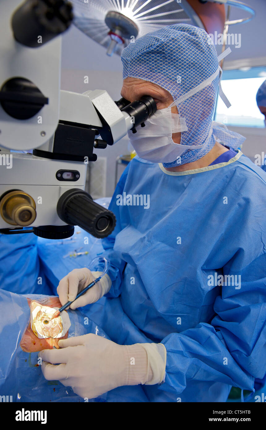 Clinical microsurgery hi-res stock photography and images - Alamy