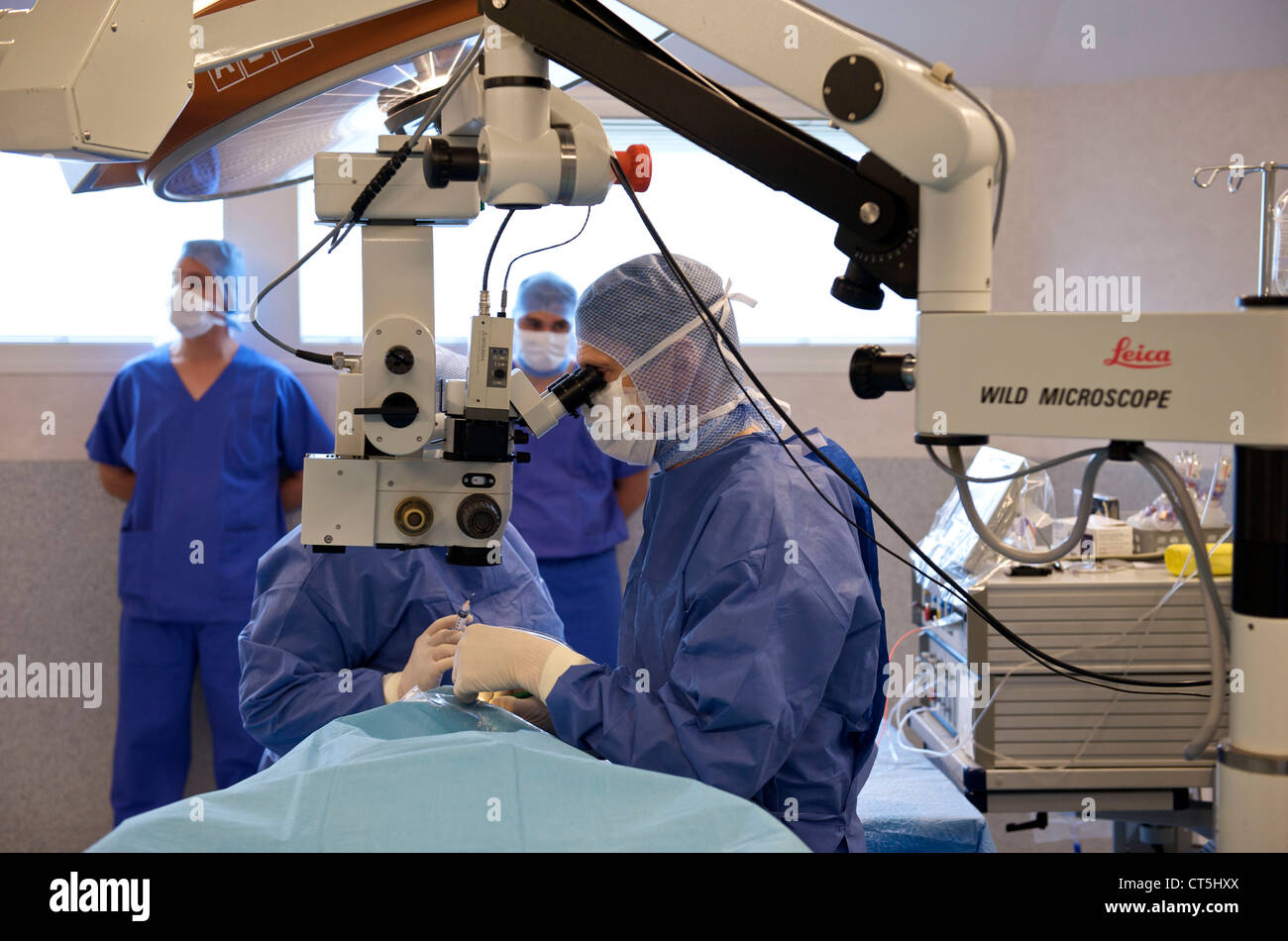 Clinical microsurgery hi-res stock photography and images - Alamy