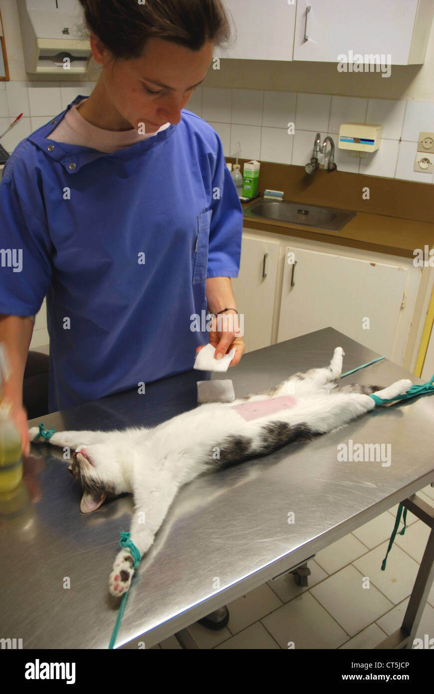 Castration Is Love Cord