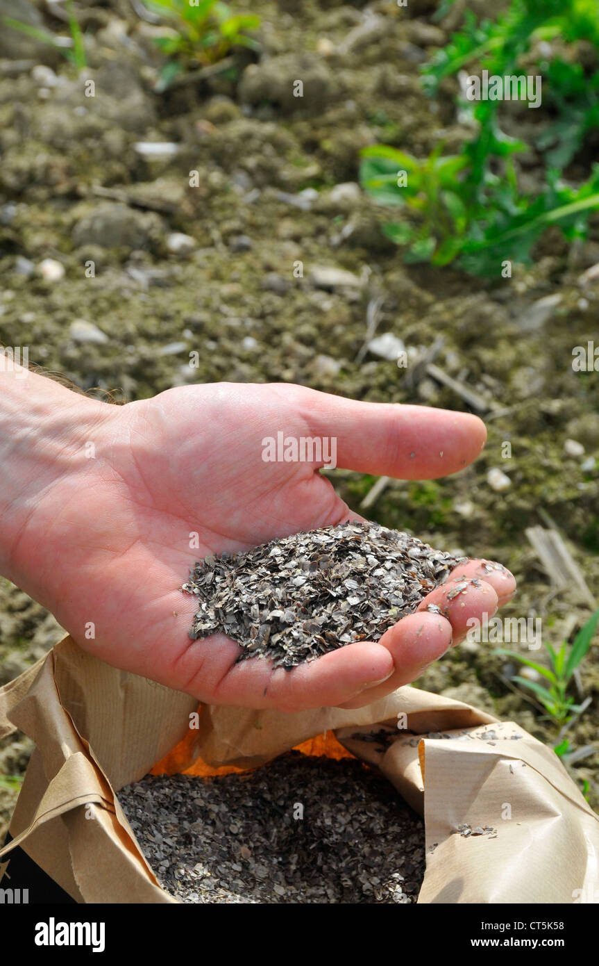 Mulching farming hi-res stock photography and images - Alamy