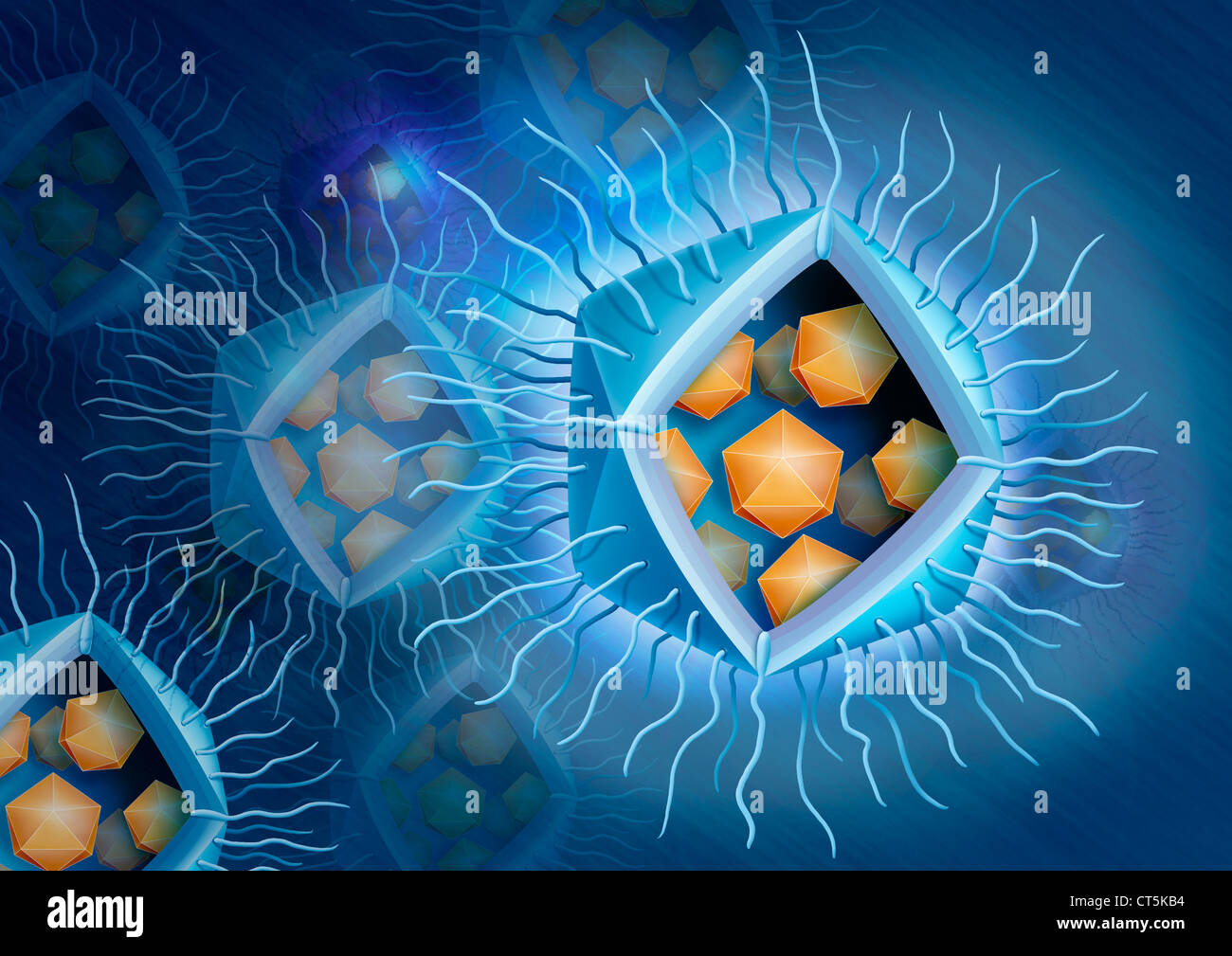 Mamavirus High Resolution Stock Photography and Images - Alamy