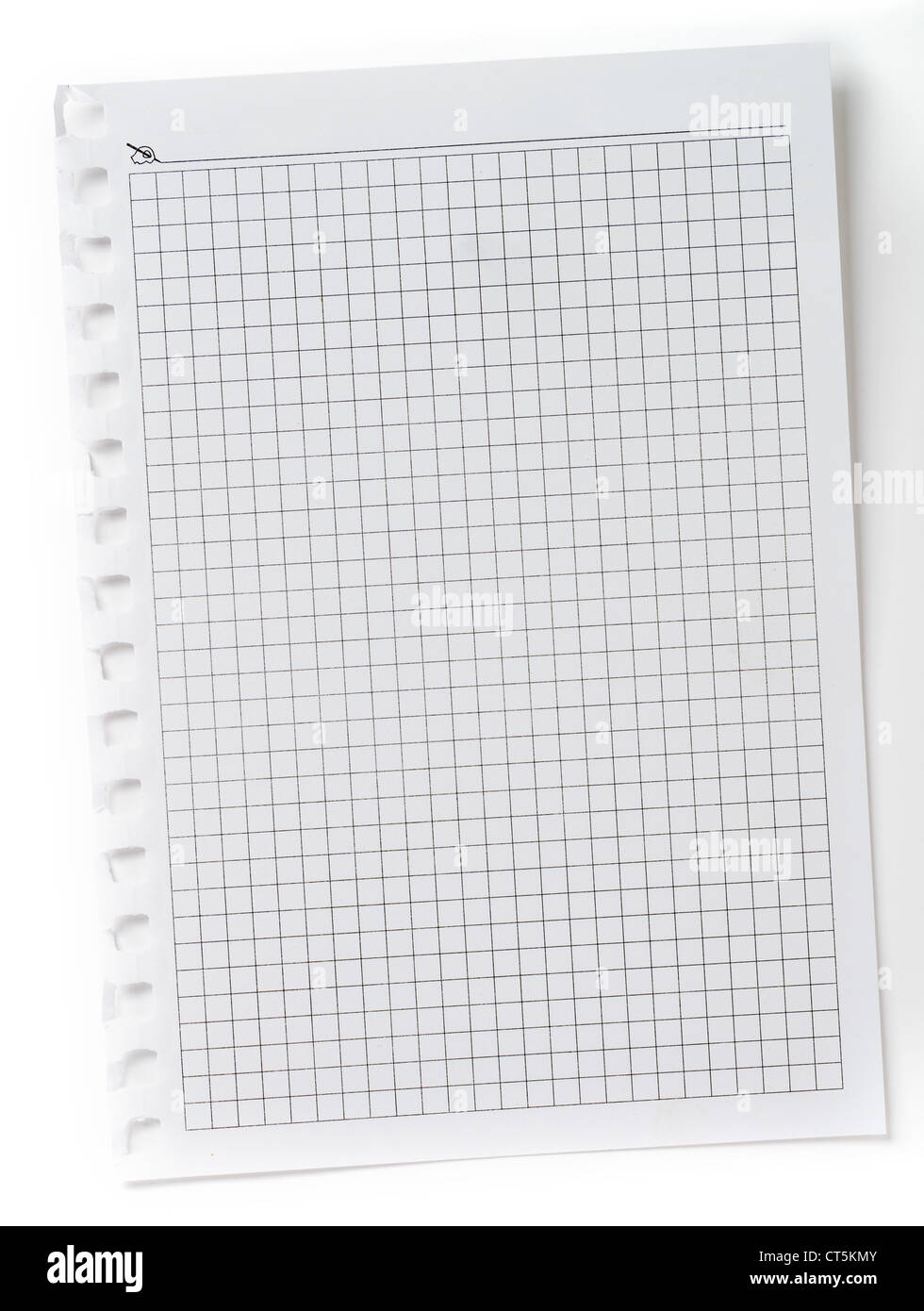 Torn page of notebook. Isolated on a white background with a shadow ...