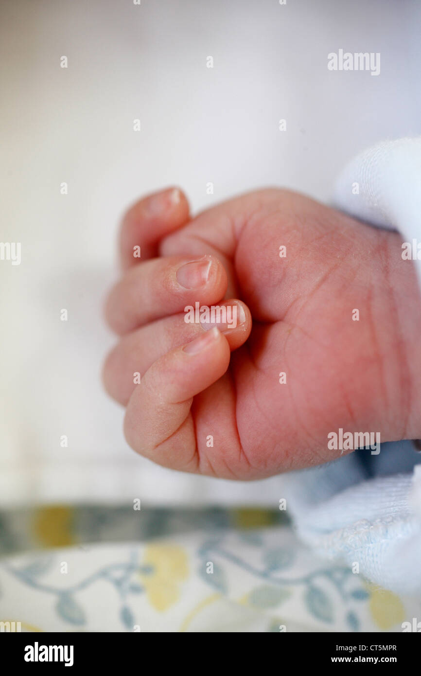 HAND OF NEWBORN BABY Stock Photo - Alamy