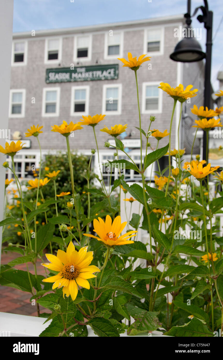 Rhode island block island town hi-res stock photography and images - Alamy