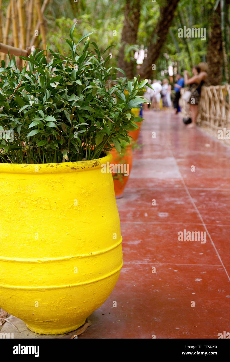 Colourful pots in the Majorelle garden, Marrakech Morocco Africa Stock ...
