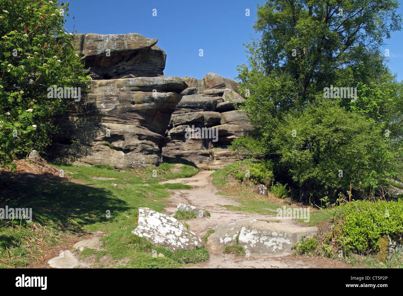 Brimham Rocks, North Yorkshire, England. Rare rock formations Stock ...