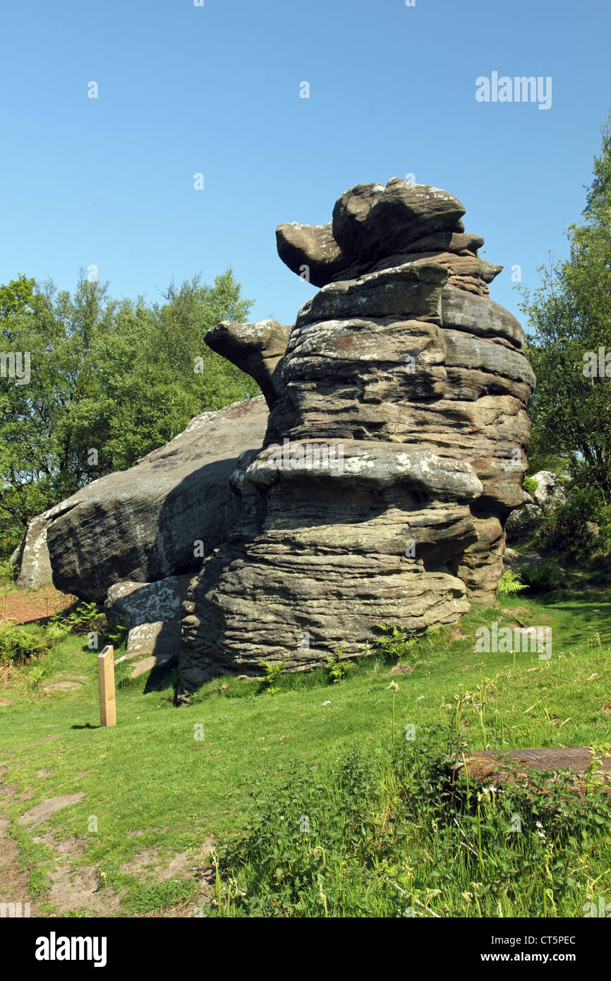 Brimham Rocks - 'Dancing Bear' - North Yorkshire, England. Rare rock ...