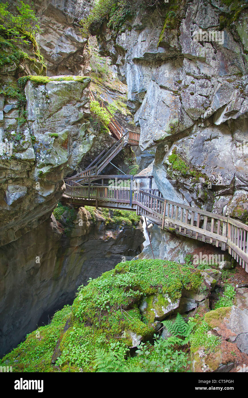 Wooden bridge over gorge in swiss alps Stock Photo - Alamy