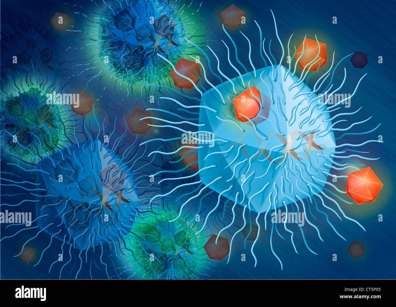 VIROPHAGE Stock Photo - Alamy