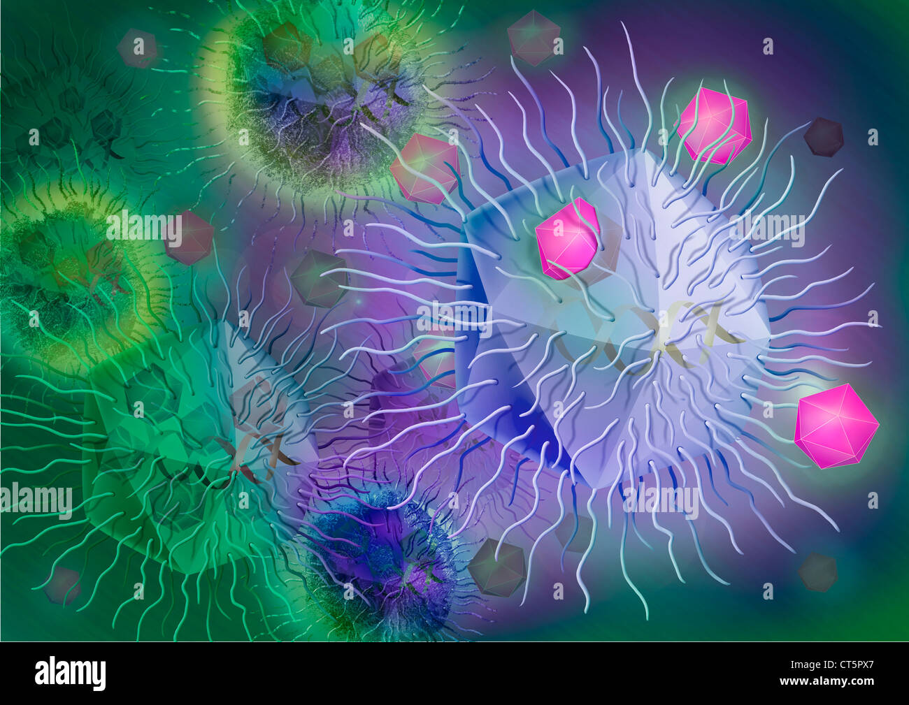Mamavirus hi-res stock photography and images - Alamy