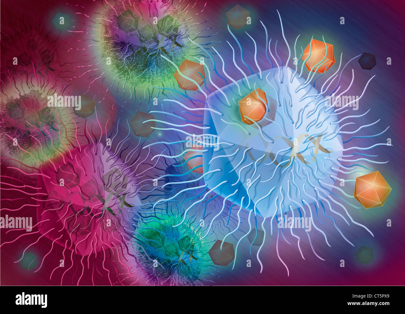 Sputnik virophage mamavirus hi-res stock photography and images - Alamy