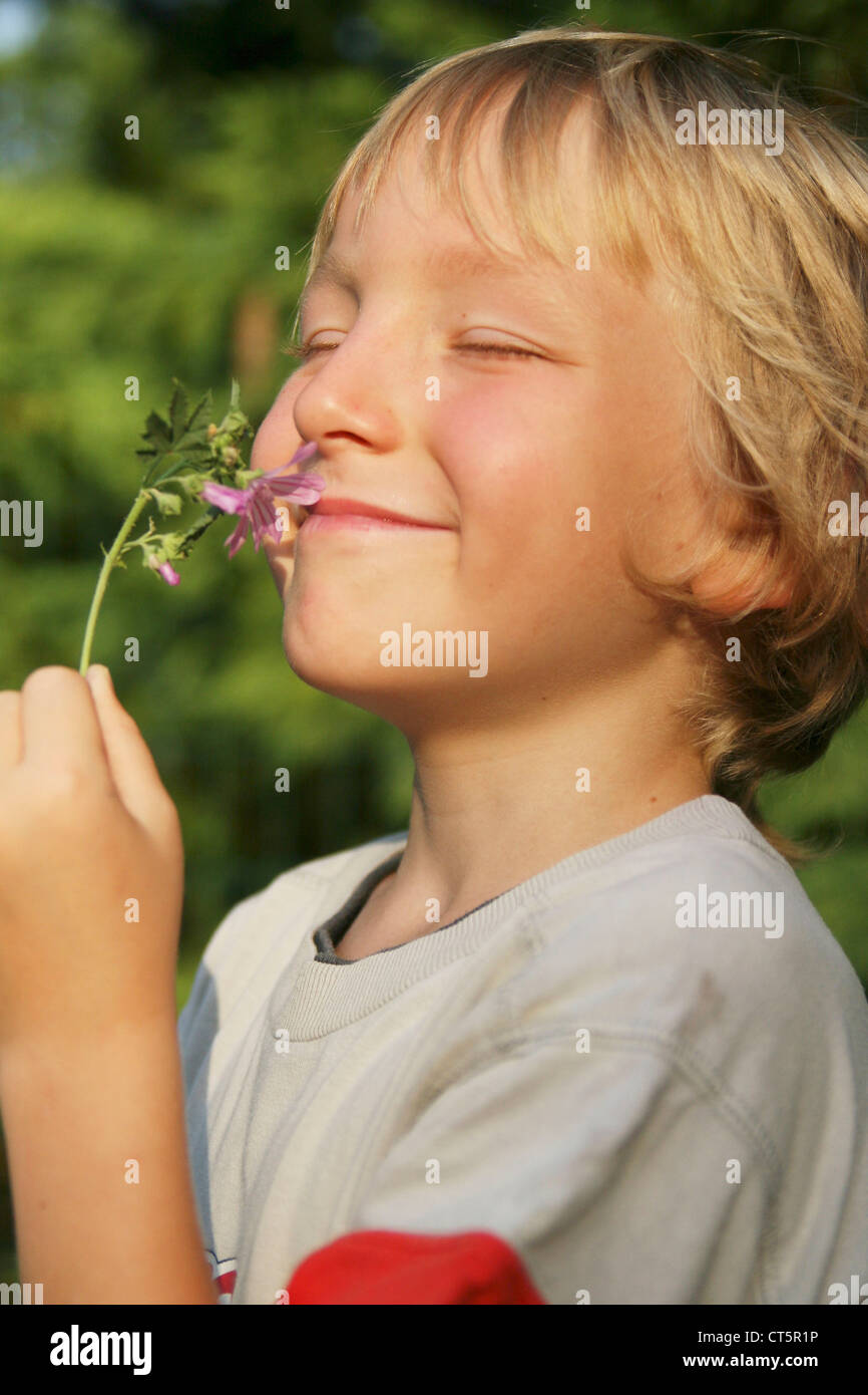 SENSE OF SMELL Stock Photo - Alamy