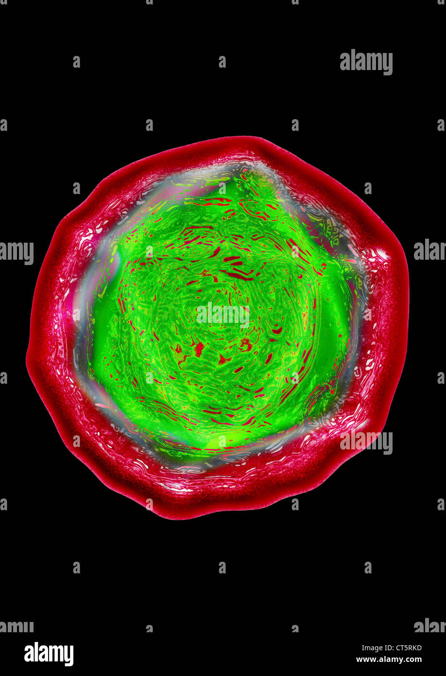 Polio virus microscope hi-res stock photography and images - Alamy