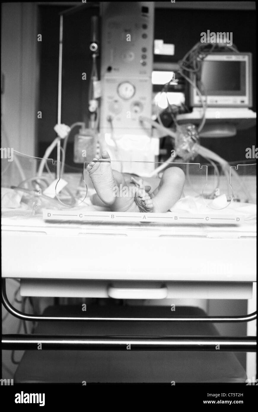 Incubator High Resolution Stock Photography and Images - Alamy