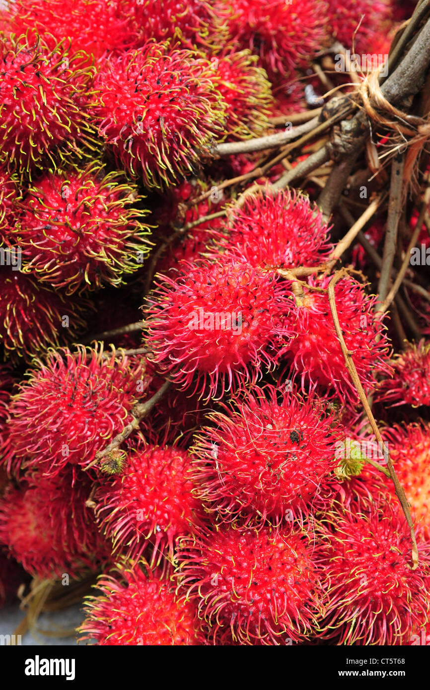 Dicotyledons fruit hi-res stock photography and images - Alamy