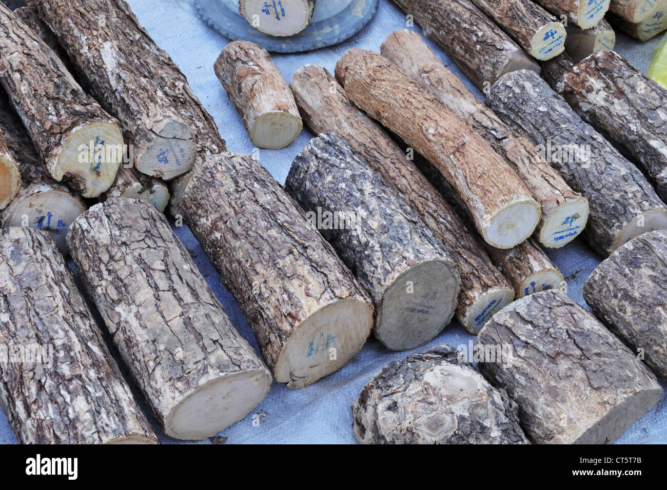 Thanaka tree hi-res stock photography and images - Alamy