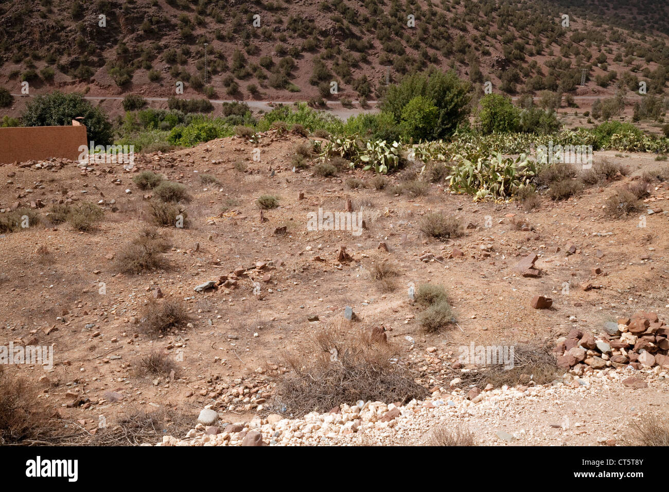 Moslem graveyard, Morocco Africa Stock Photo - Alamy