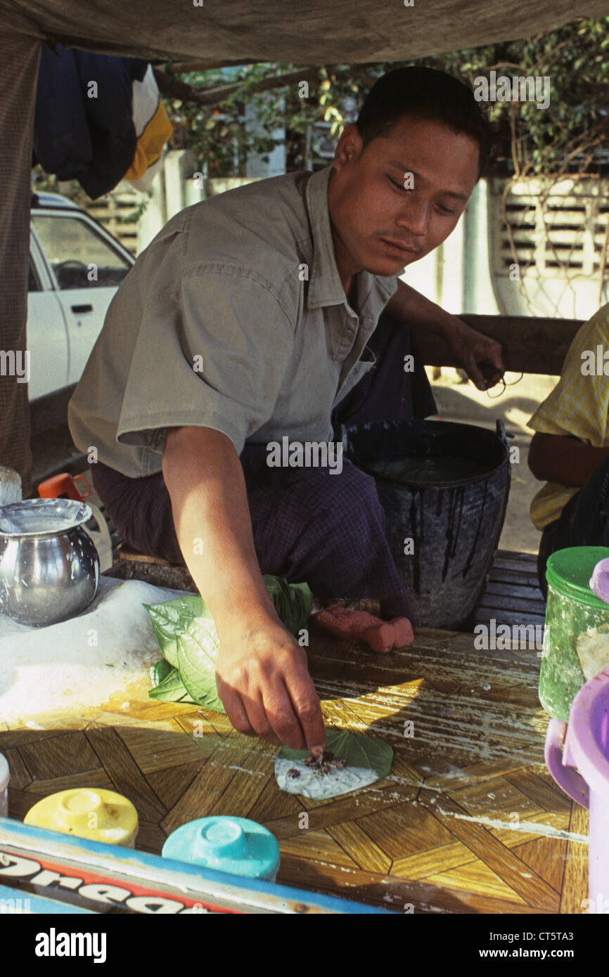 Betel plants hi-res stock photography and images - Alamy