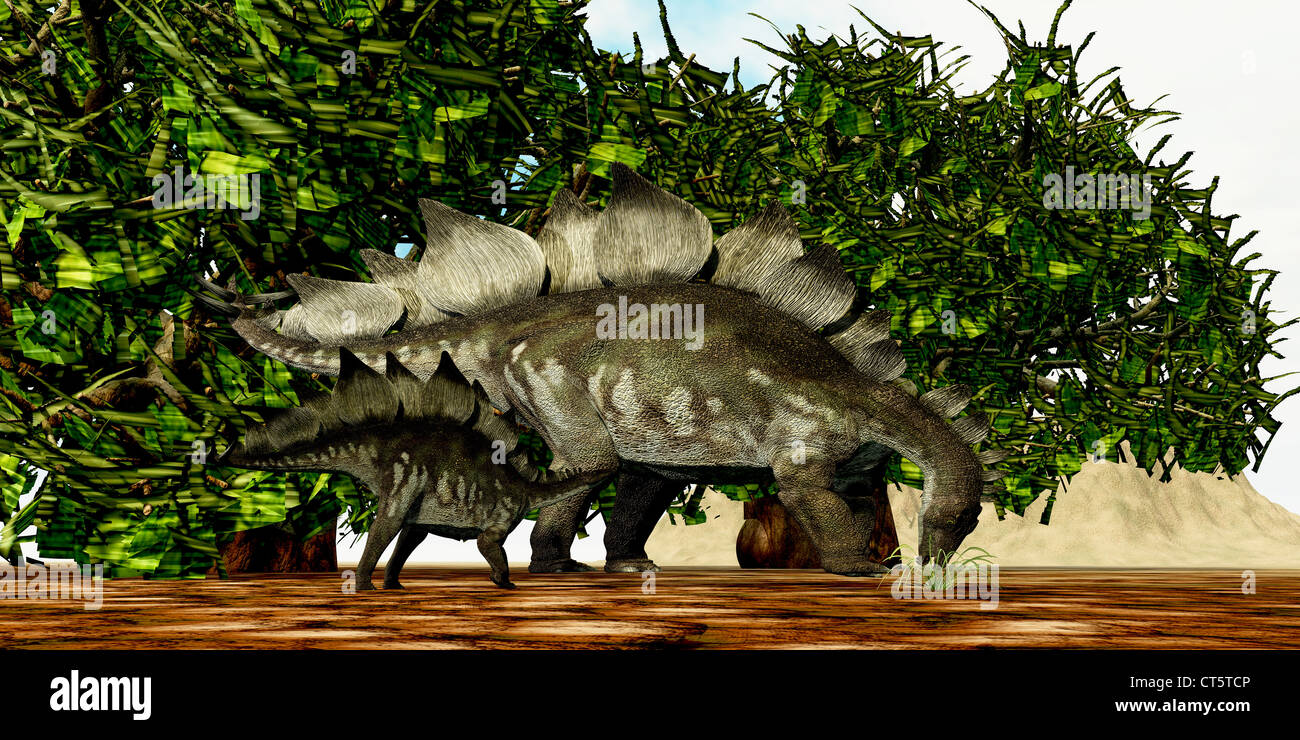 A Stegosaurus baby looks to its mother to find the best eating foliage ...