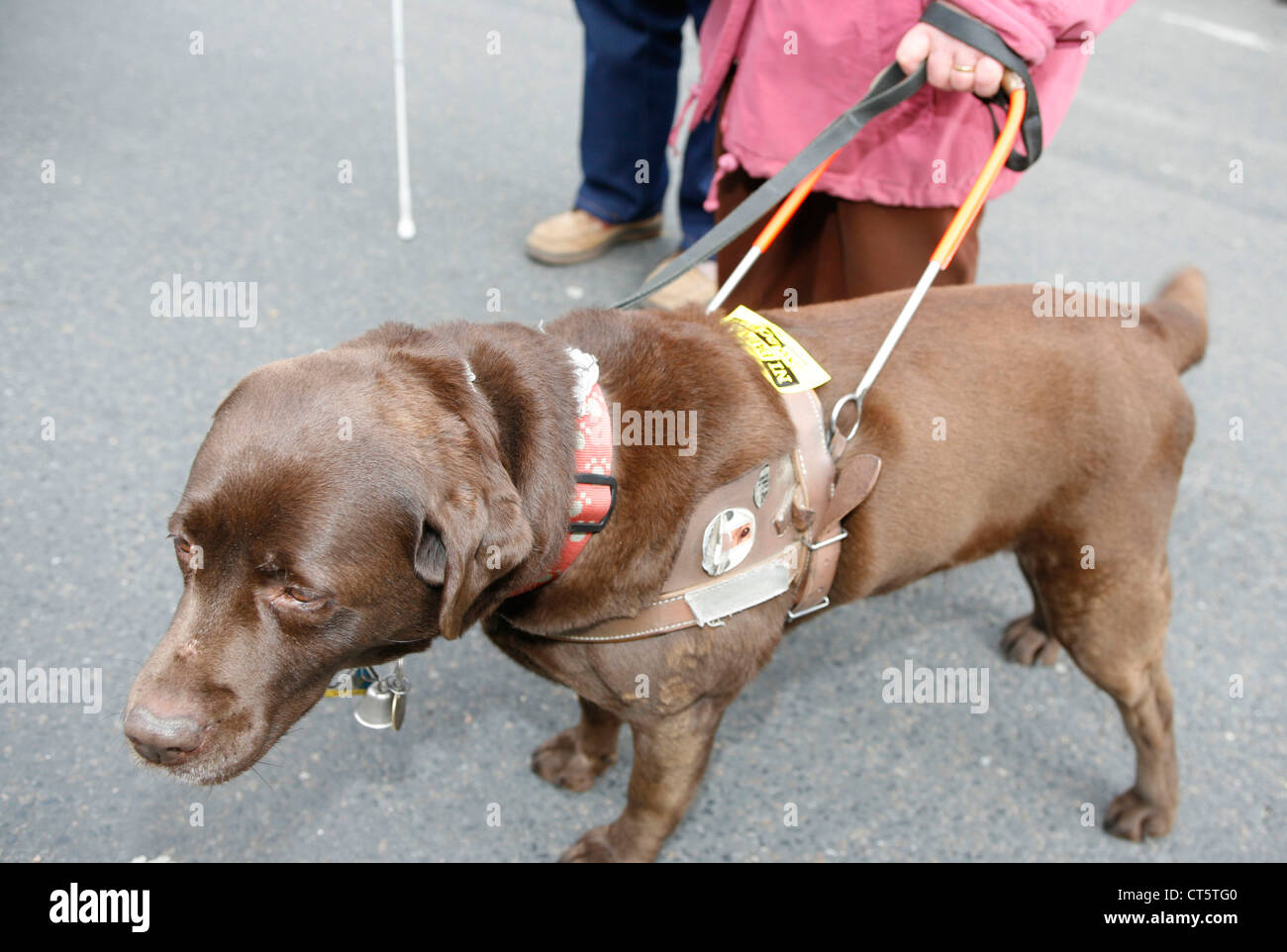 Guides for the blind hi-res stock photography and images - Alamy