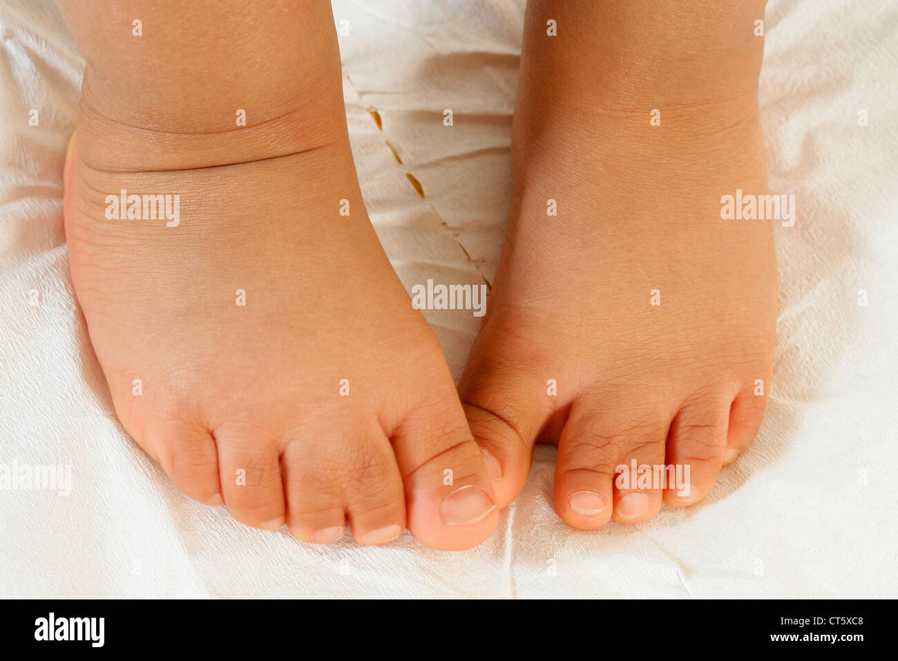 Human webbed feet hi-res stock photography and images - Alamy