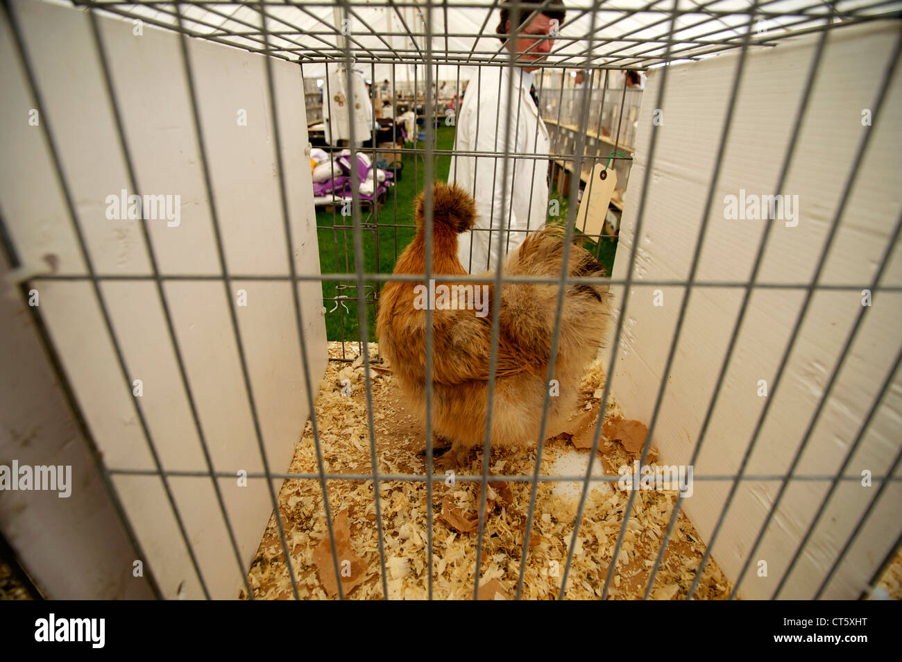 Norwich, Norfolk. The annual Royal Norfolk Show held at the Norfolk ...