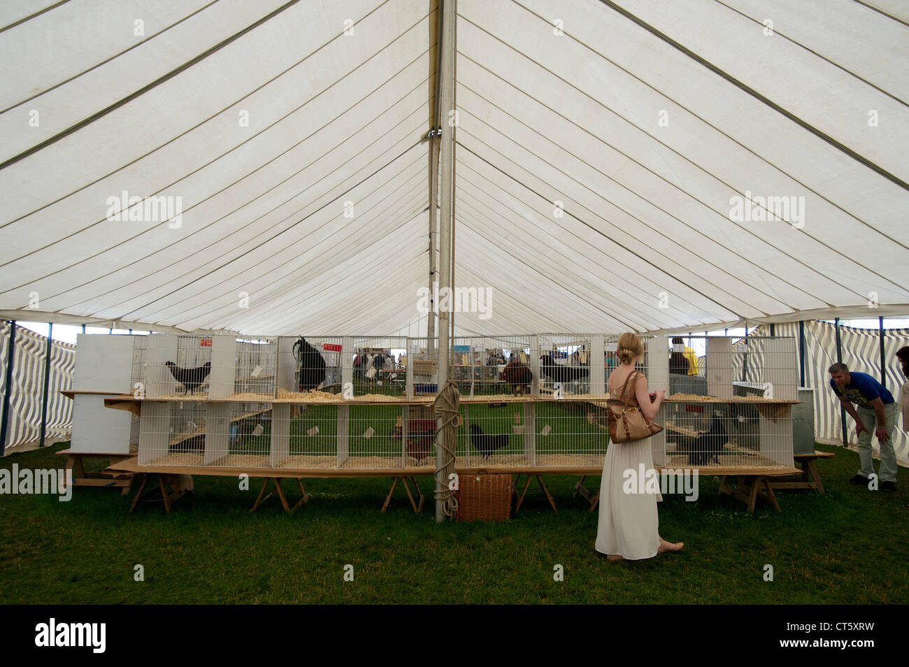 Norwich, Norfolk. The annual Royal Norfolk Show held at the Norfolk ...