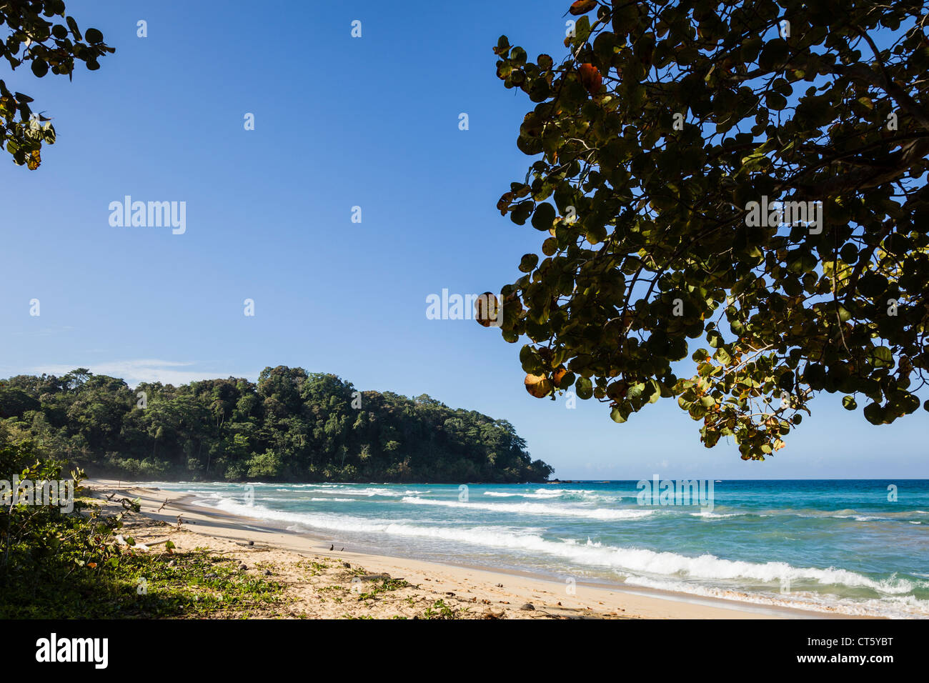 Wizard Beach (Second beach) on Isla Bastimentos, Bocas del Toro, Panama ...
